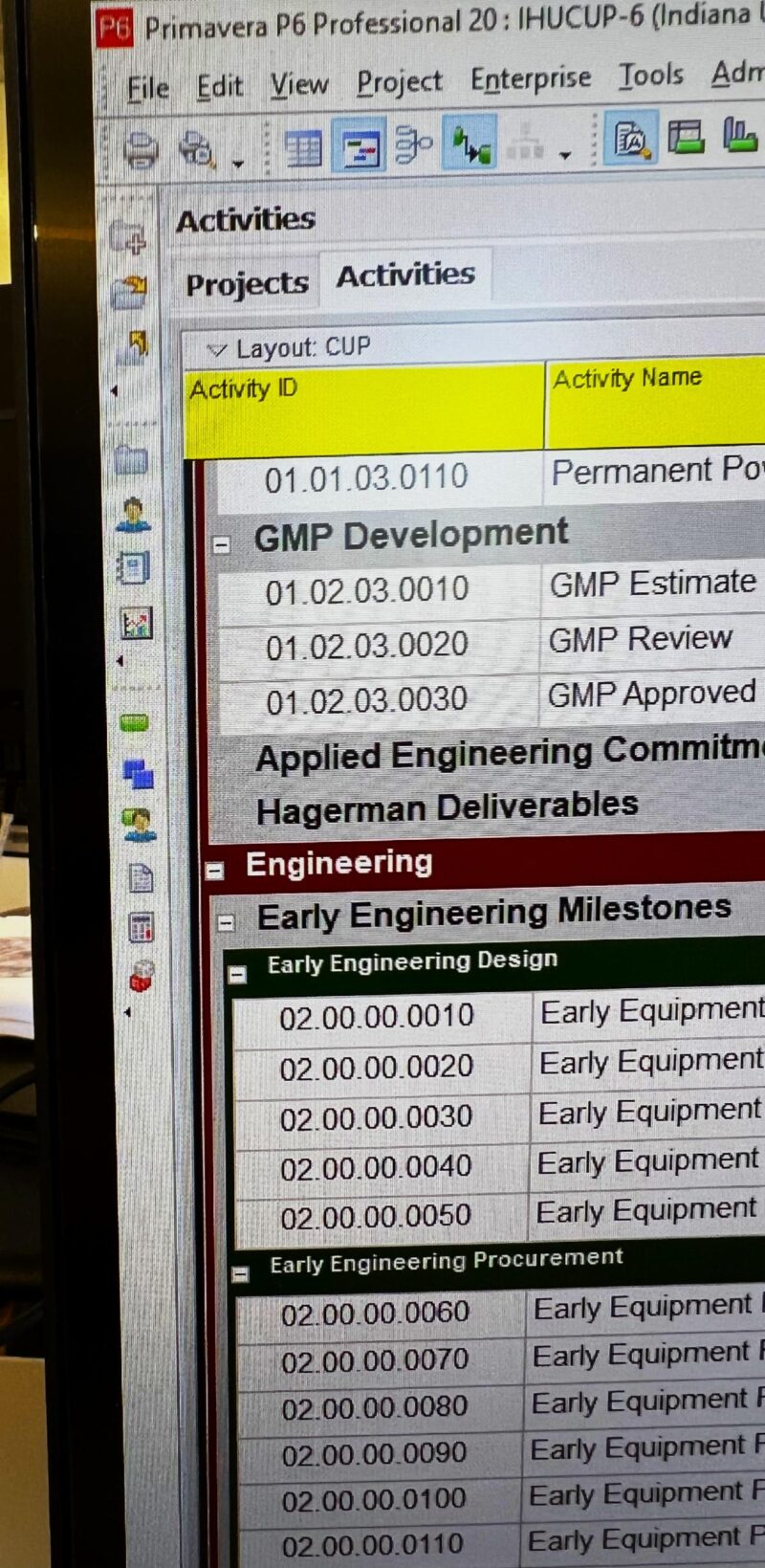 Primavera P6 Activity IDs: Use Them for Effective Project Management ...